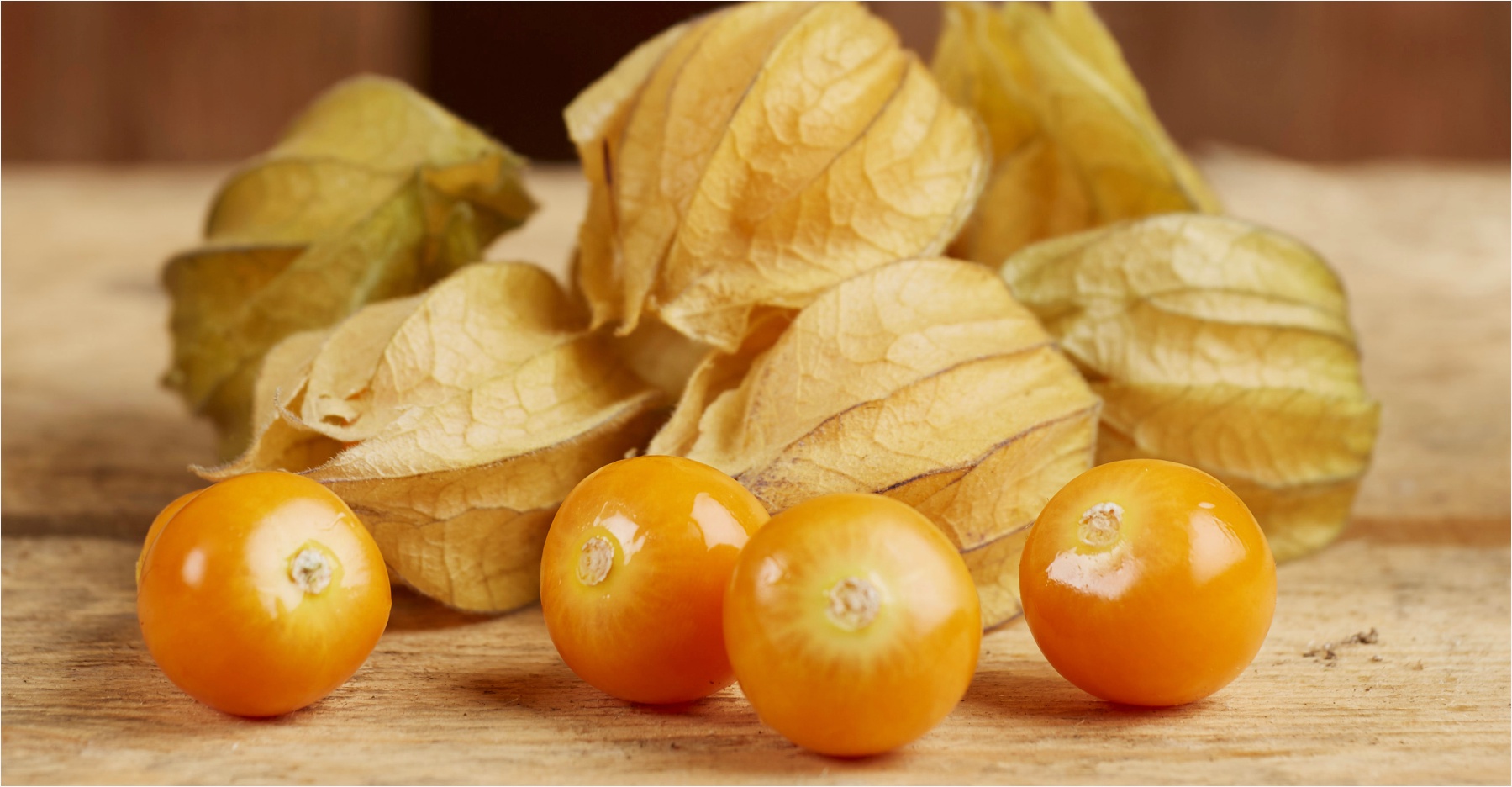 Gat Global – Global Agricultural Trading