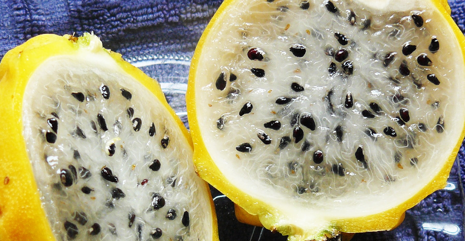 Gat Global – Global Agricultural Trading