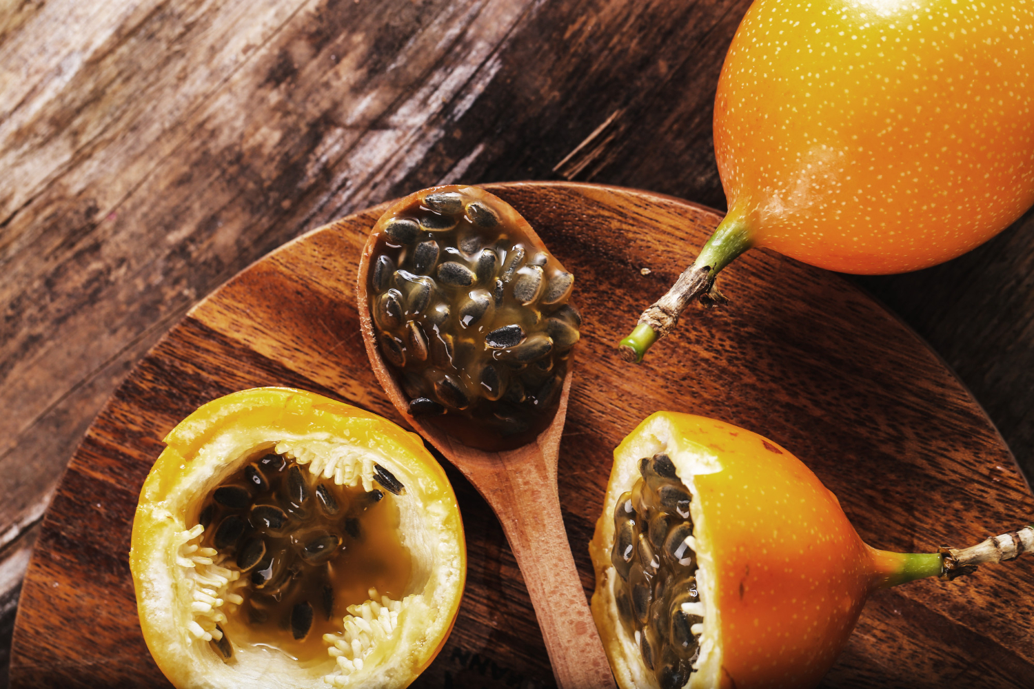 Granadilla – Gat Global