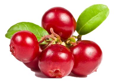 Murtaberries – Gat Global