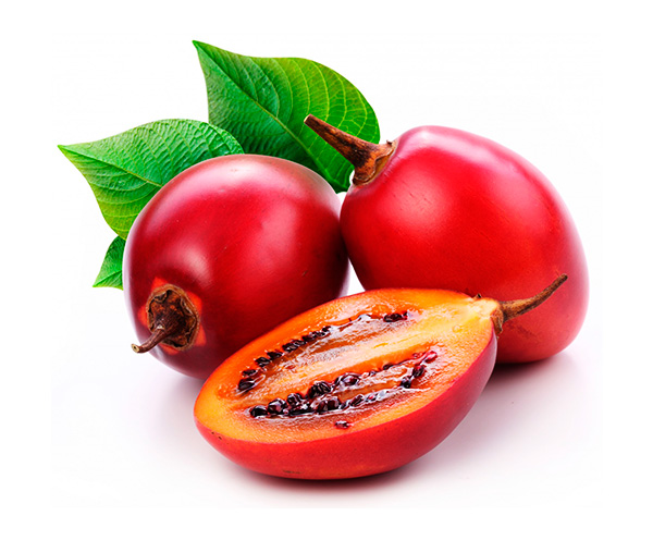 Tamarillo ´´Tree Tomato´´ – Gat Global